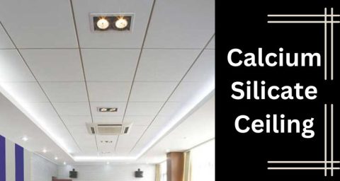 Know About Different Kinds Of False Ceilings (16 Types)